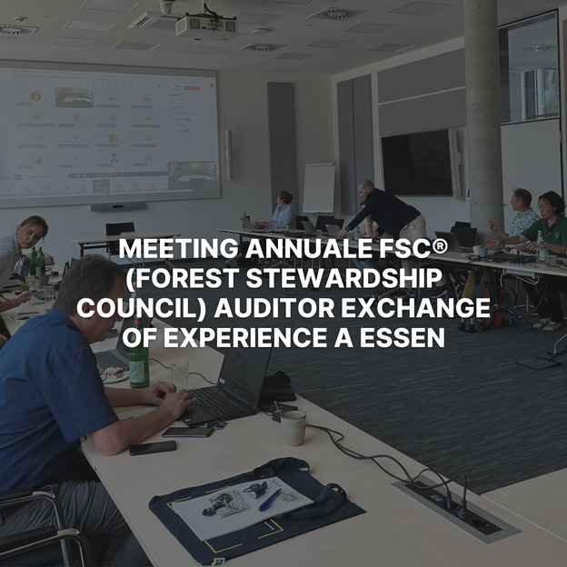 Meeting annuale FSC 2024 a Essen: focus su diritti umani e ...